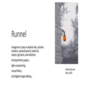 Runnel | PPT