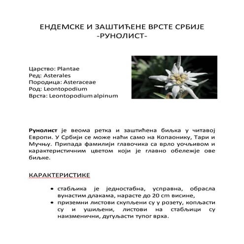 Рунолист - Марић В. | DOCX