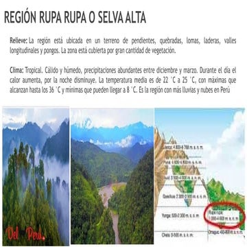 rupa rupa (1).pptx muy bueno educacion primaria | PPTX