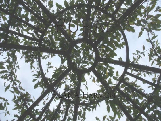 Team meeting of bringing together ideas sheet | PPT