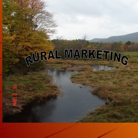 RURAL MARKETING | PPT | Agriculture | Industries