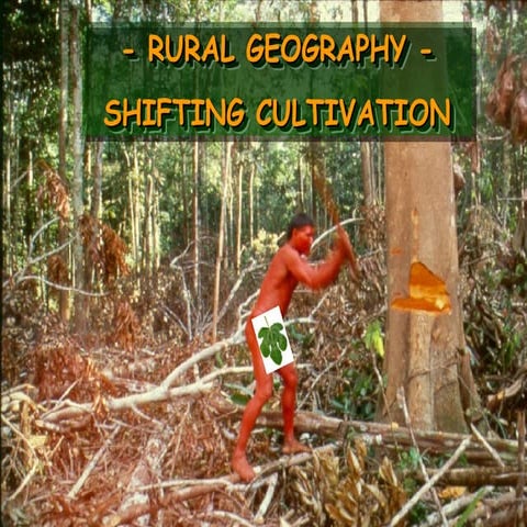 Shifting cultivation