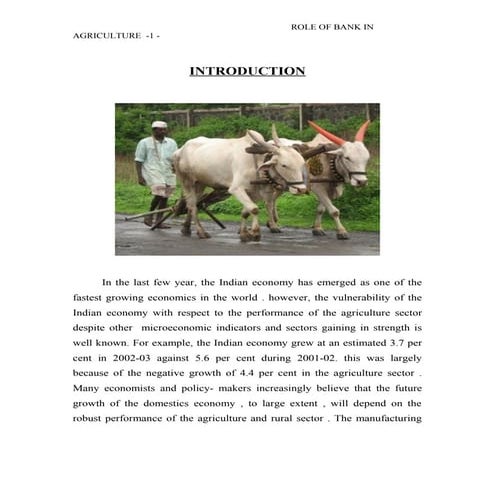 Rural development bank | PDF