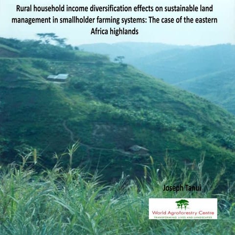 Rural household income diversification effects on sustainable land | PPTX