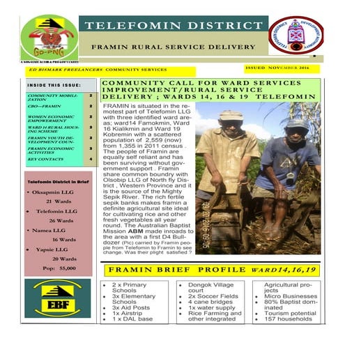 Rural service delivery. framin draft1 | PDF