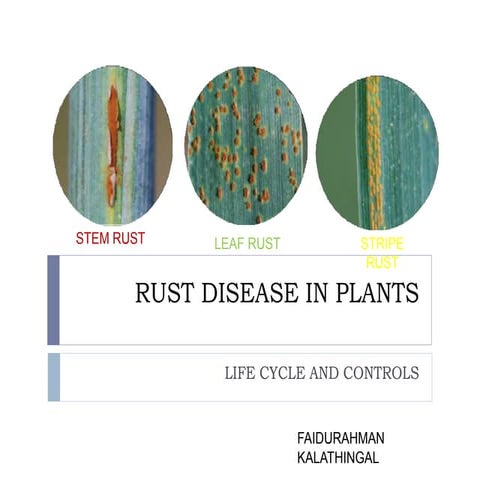 Rust disease in plants lin | PPTX