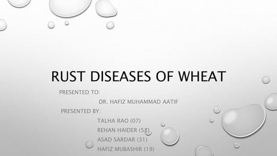 LEAF SPOT OR TIKKA DISEASE OF GROUNDNUT | PDF