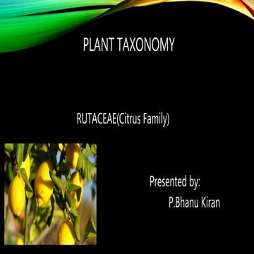 Rutaceae | PPTX