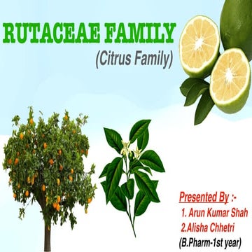 Family Rutaceae.pdf