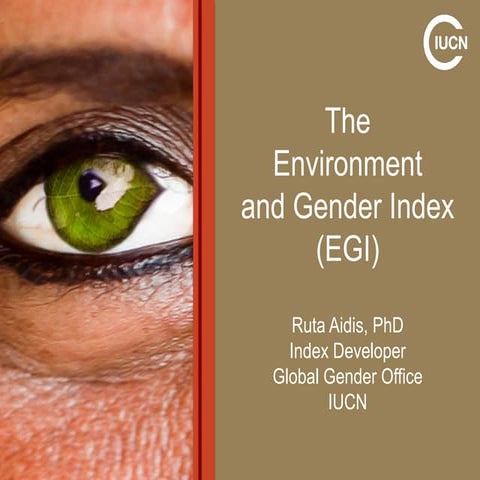 The Environment and Gender Index (EGI) | PPTX