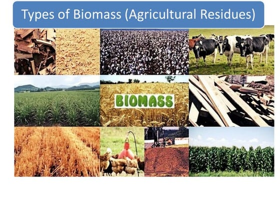 Biomass | PPT