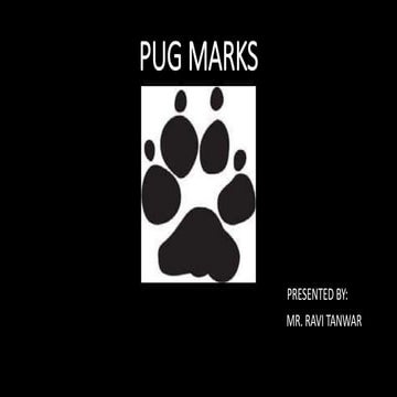 Forensic Pug Marks PPT | PPTX