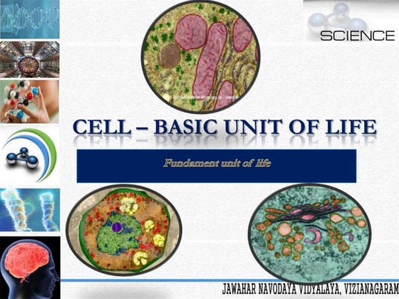 The Fundamental unit of life- Cell, Class 9 Chapter-5 | PPT