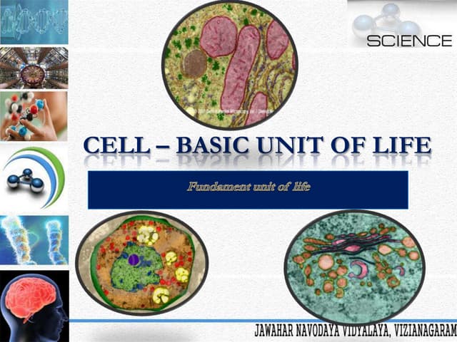 Cell and cell theory | PPTX