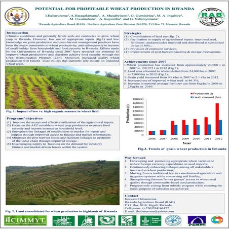 Potential for profitable wheat production in Rwanda | PDF