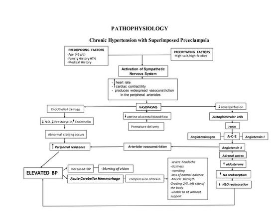 Pathophysiology hypertension. | PPTX