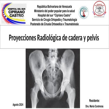 Radioanatomia de pelvis osea | PDF