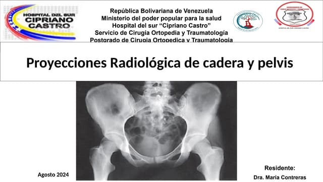 Radioanatomia de pelvis osea | PDF