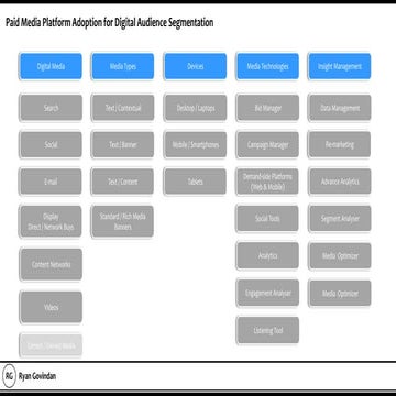Paid Media / Platforms / Audience / Insights Management | PPTX