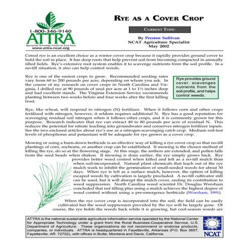 Rye as a Cover Crop | PDF