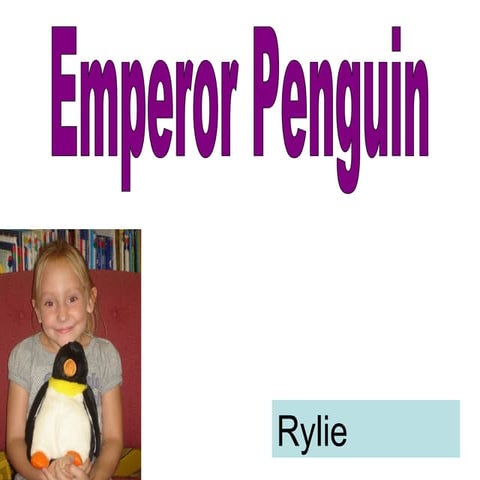 Emperor Penguin | PPT