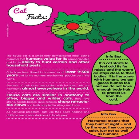 Cat facts | PDF