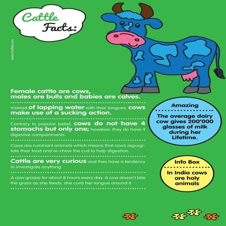 Cattle facts | PDF | Large Animals | Pets