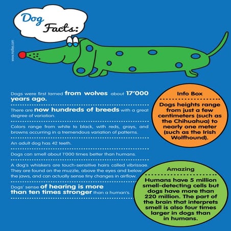 Dog facts | PDF