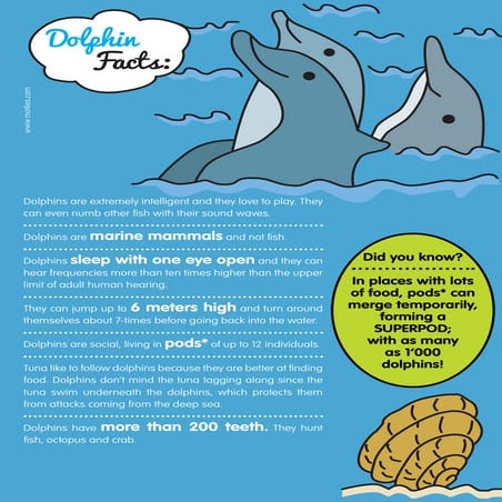 Dolphin facts | PDF