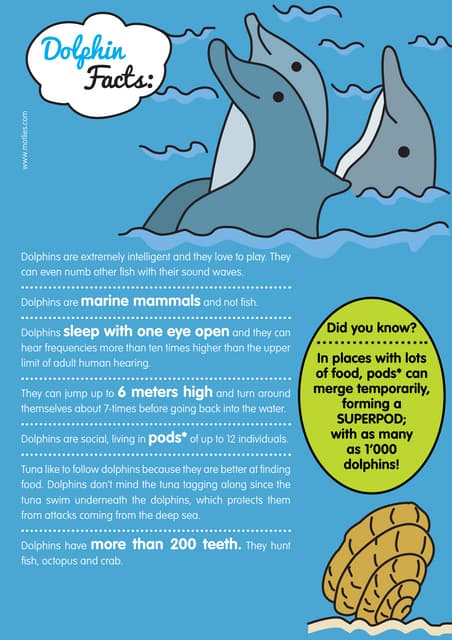 Facts about Dolphins-For Children | PPT