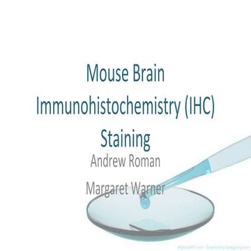Mouse brain immunohistochemistry staining | PPTX