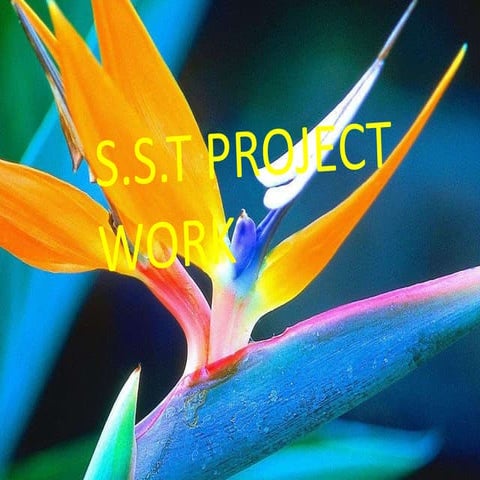 S.s.t project work | PPT