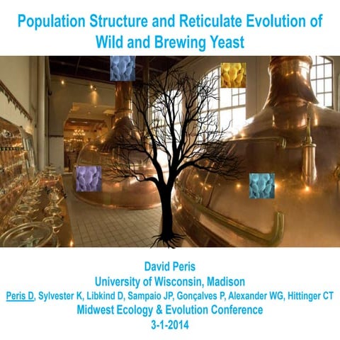 S.eubayanus & reticulate evolution | PPTX
