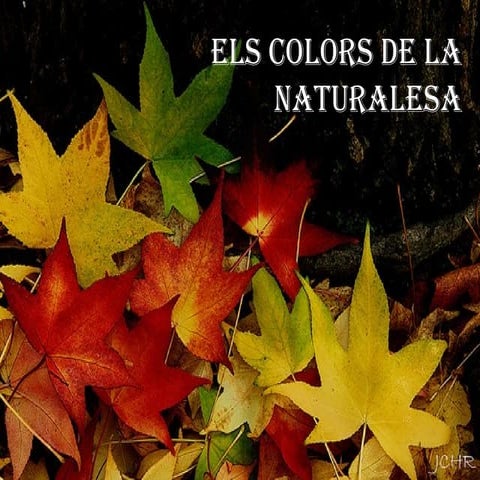 Los colores de la naturaleza | PPT