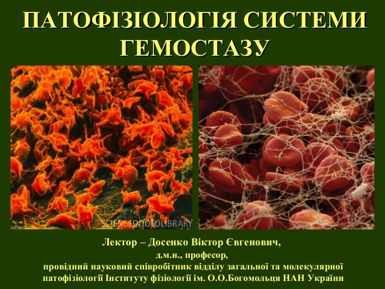 Гемостаз