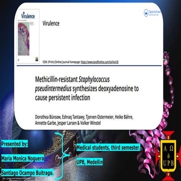 Staphylococcus pseudintermedius Methicillin-resistant | PDF