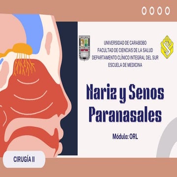 Senos Paranasales Imagenología | PPT