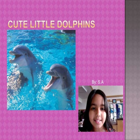 Dolphins | PPTX