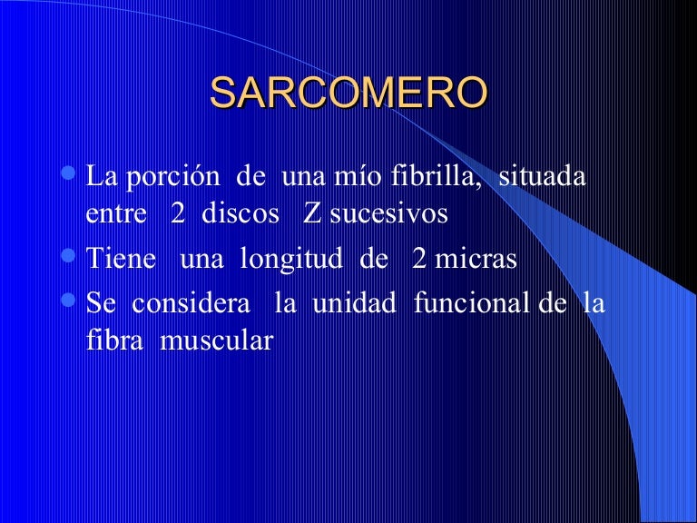 s-a-r-c-o-m-e-r-o