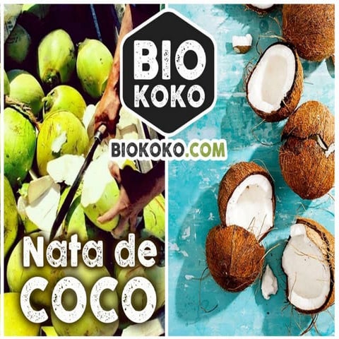 Nata de coco, Bio Koko - Hecha en Colombia | PDF