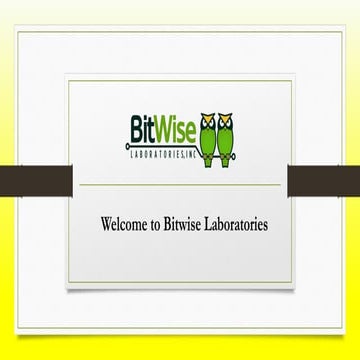 S-parameter Measurements with a TDR.pptx