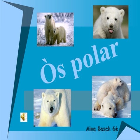 ós polar | PPT