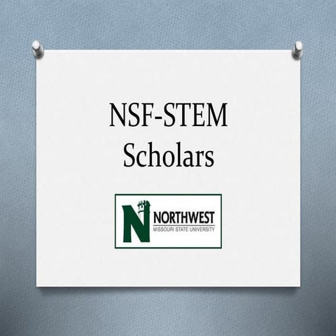 NFS-S STEM Scholars | PPTX