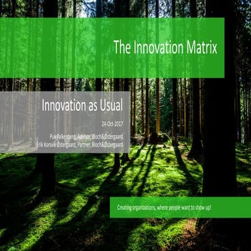 The Innovation Matrix - and the leadership approaches | PPTX