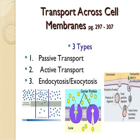 The lecture about S10 Ch 8 Cell Transport.ppt
