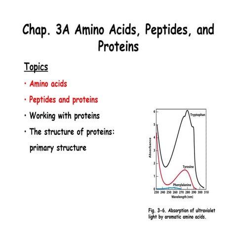 fkyjfylukks15-miller-chap-3a-lecture.ppt