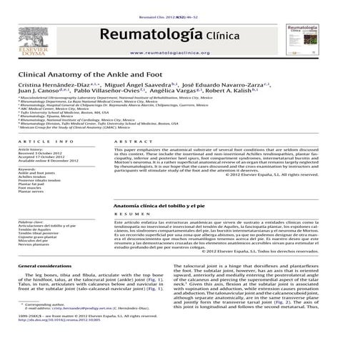 S1699258X12002434foot and ankle treatment.pdf