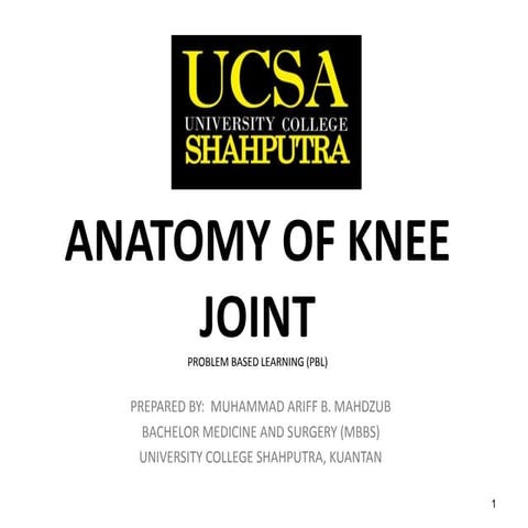 ANATOMY OF KNEE JOINT | PPT