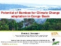 Potential of Bamboo for Climate Change adaptation in Congo Basin ...