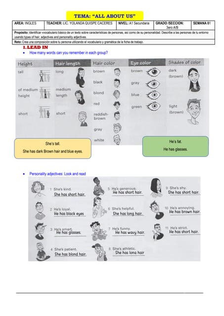 Describing people lesson plan | PPTX | Educational Assessment | Education